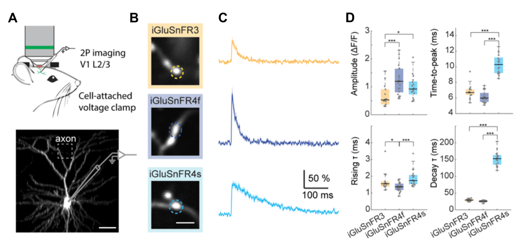Hot Plasmids: Spring 2025